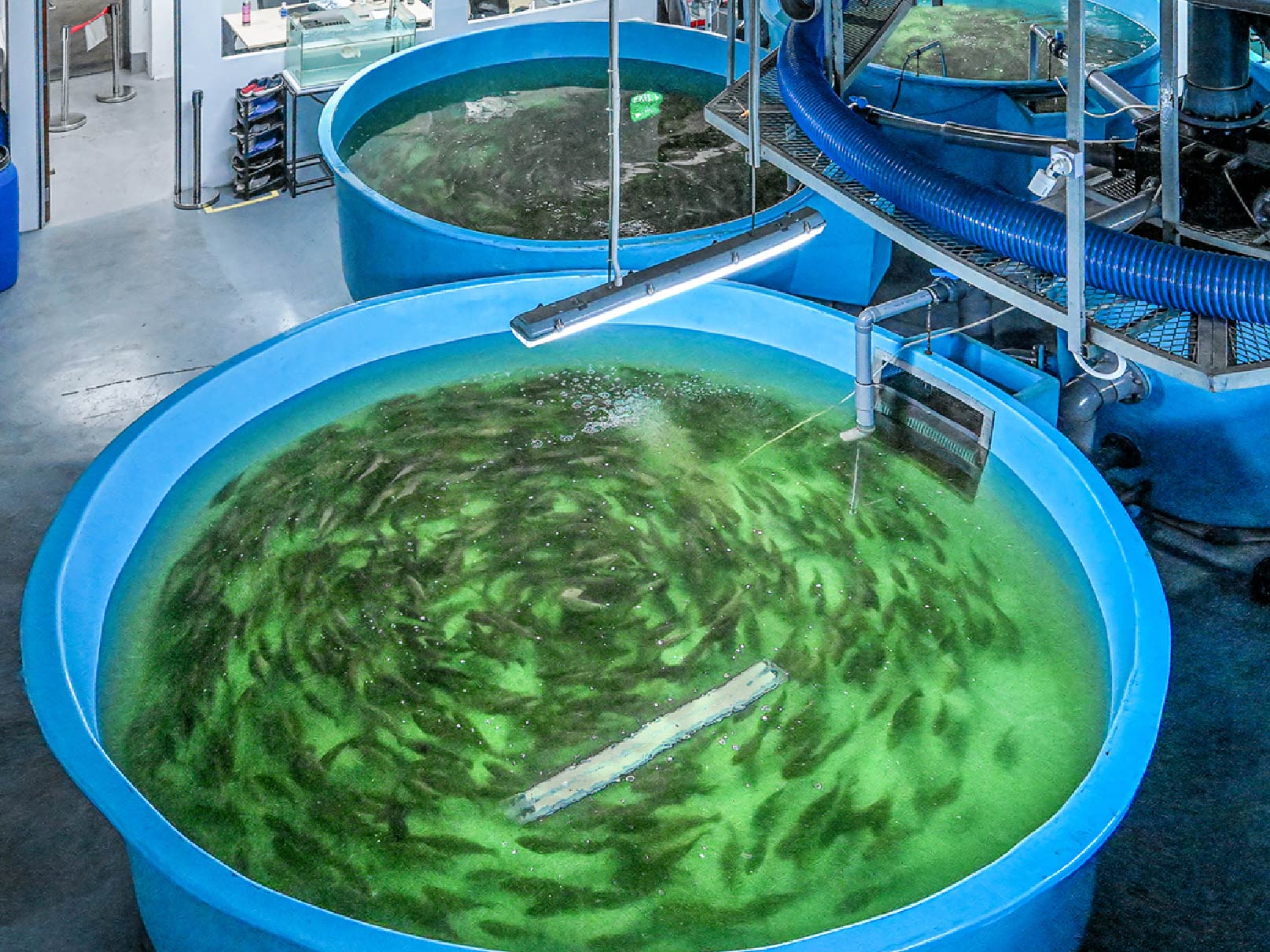 THE FUTURE FISH FARM SUMMIT